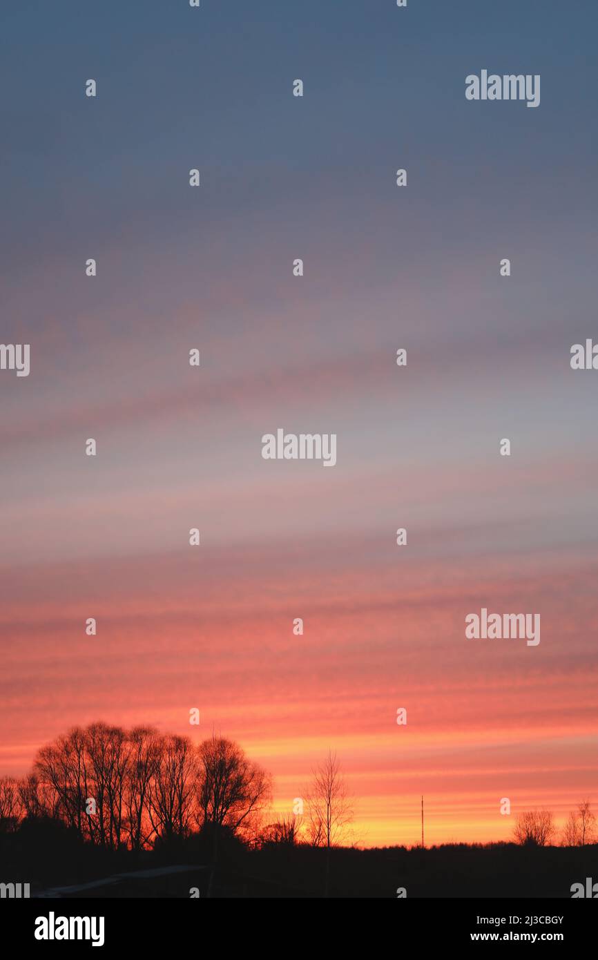 Colorful cloudy sky at sunset. Gradient color. Sky texture. Beautiful ...