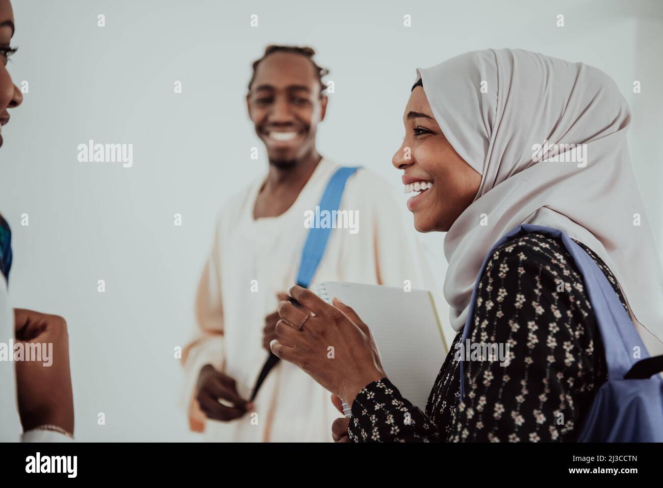 Group of happy african students having conversation and team meeting ...