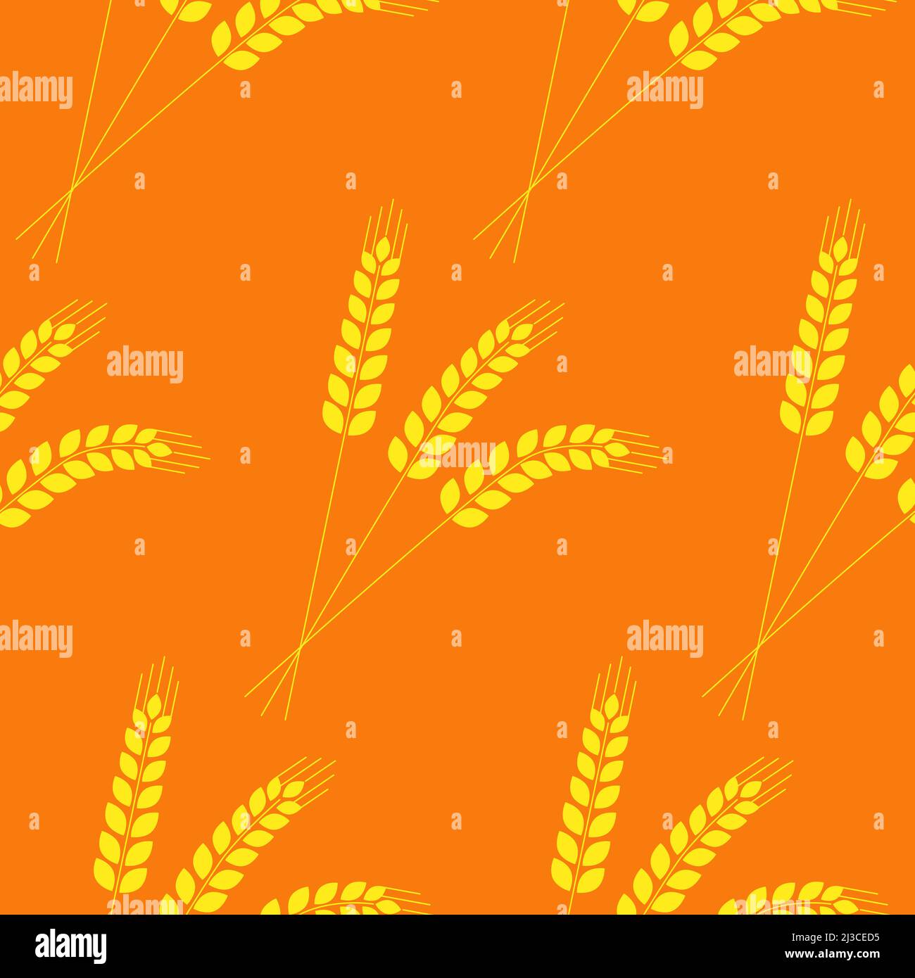 Seamless pattern, ear of wheat rye, illustration for textile three ...