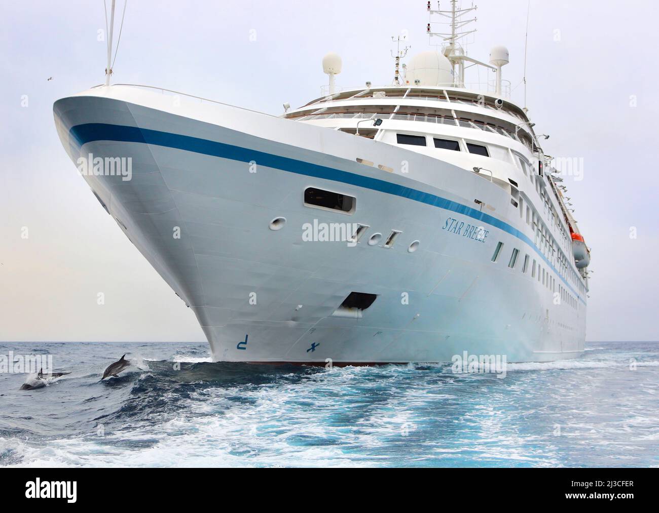 Dolphin surfing the bow-wave of the cruise ship Star Breeze (former ...