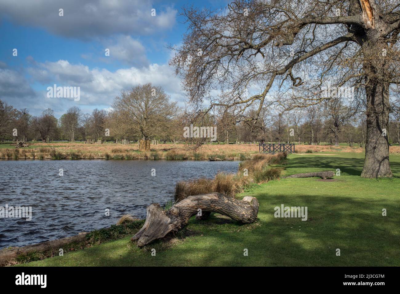 Danger large fallen tree branch Stock Photo - Alamy