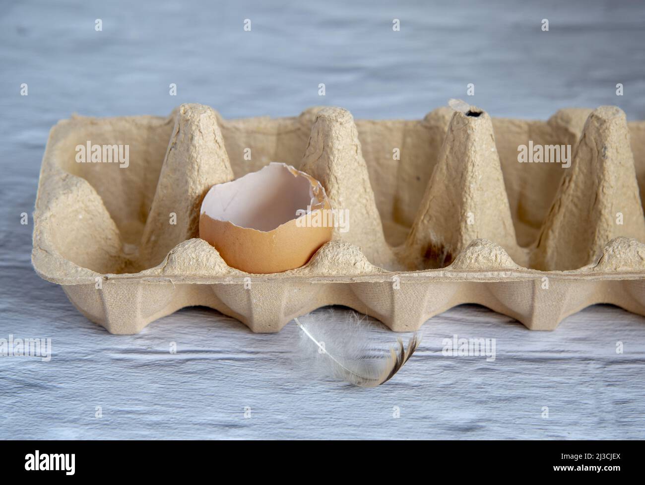 Eggshell and chicken feathers in a cardboard box for ten eggs Stock ...