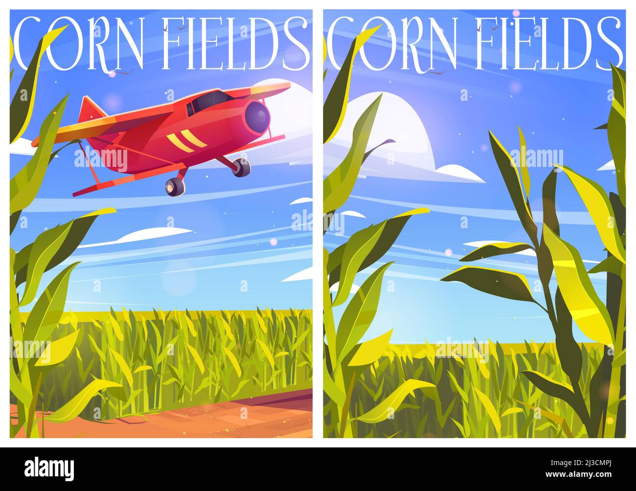 Corn fields posters with red airplane and green cereal plants. Vector ...