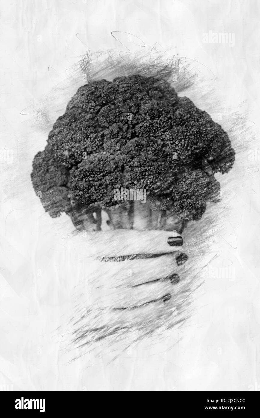Broccoli drawing Black and White Stock Photos & Images - Alamy