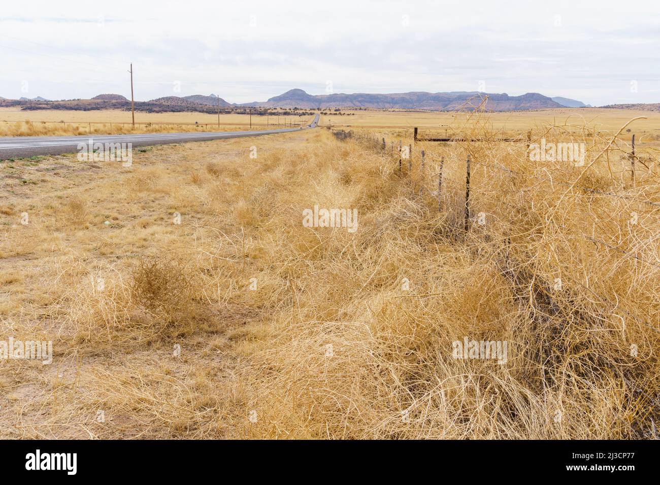 Tumbleweeds caught in fence in West Texas Great Plains desert ...