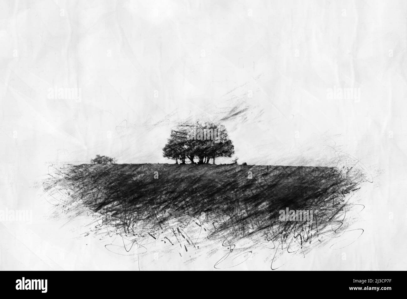 trees in field in pencil style drawing Stock Photo - Alamy
