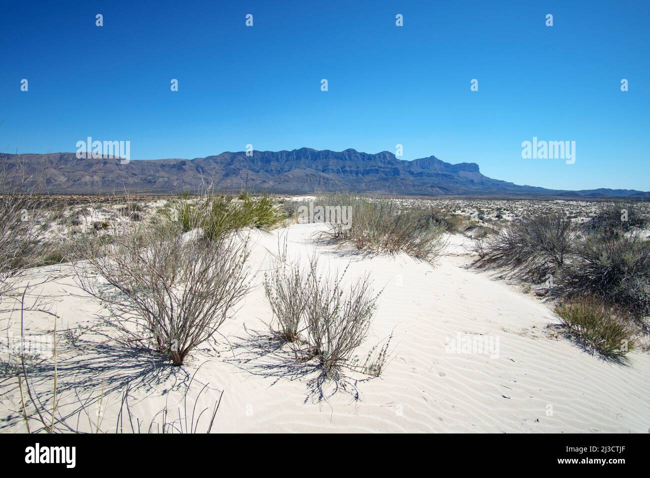 Salt Basin Dunes at Guadalupe Mountains National Park, Guadalupe peak ...
