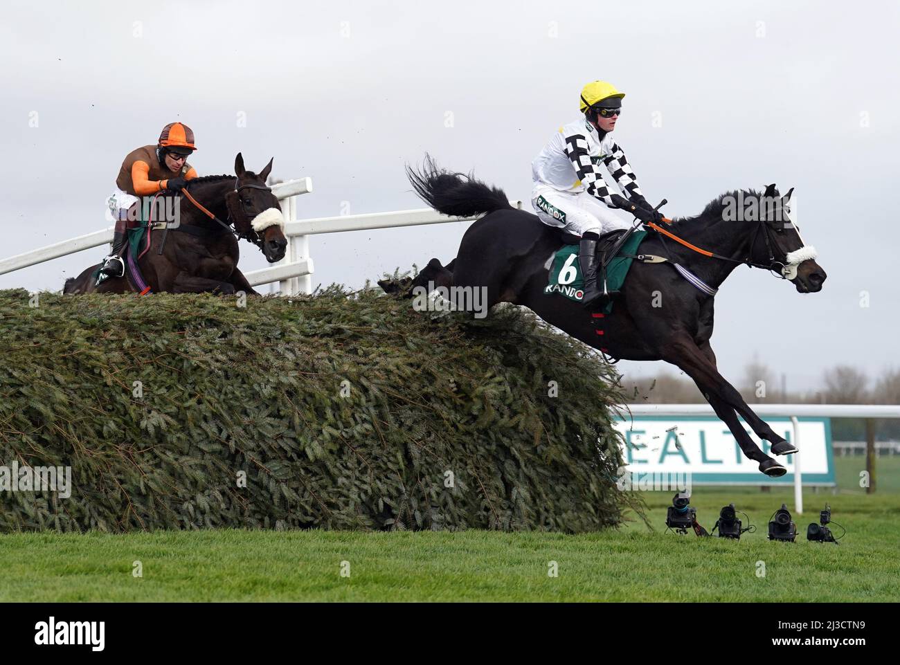 Noble yeats horse hi-res stock photography and images - Alamy