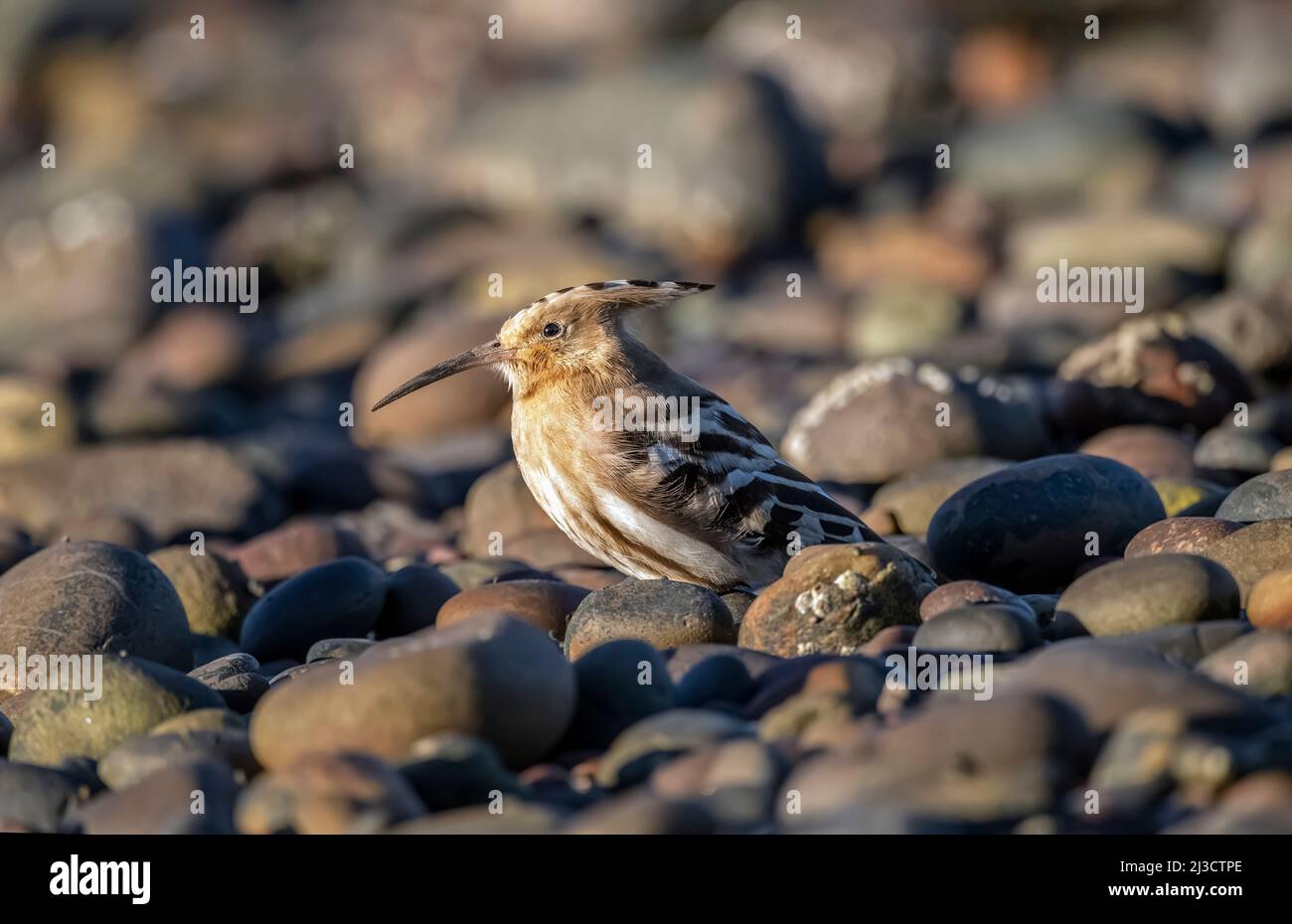 Space scotland hi-res stock photography and images - Alamy