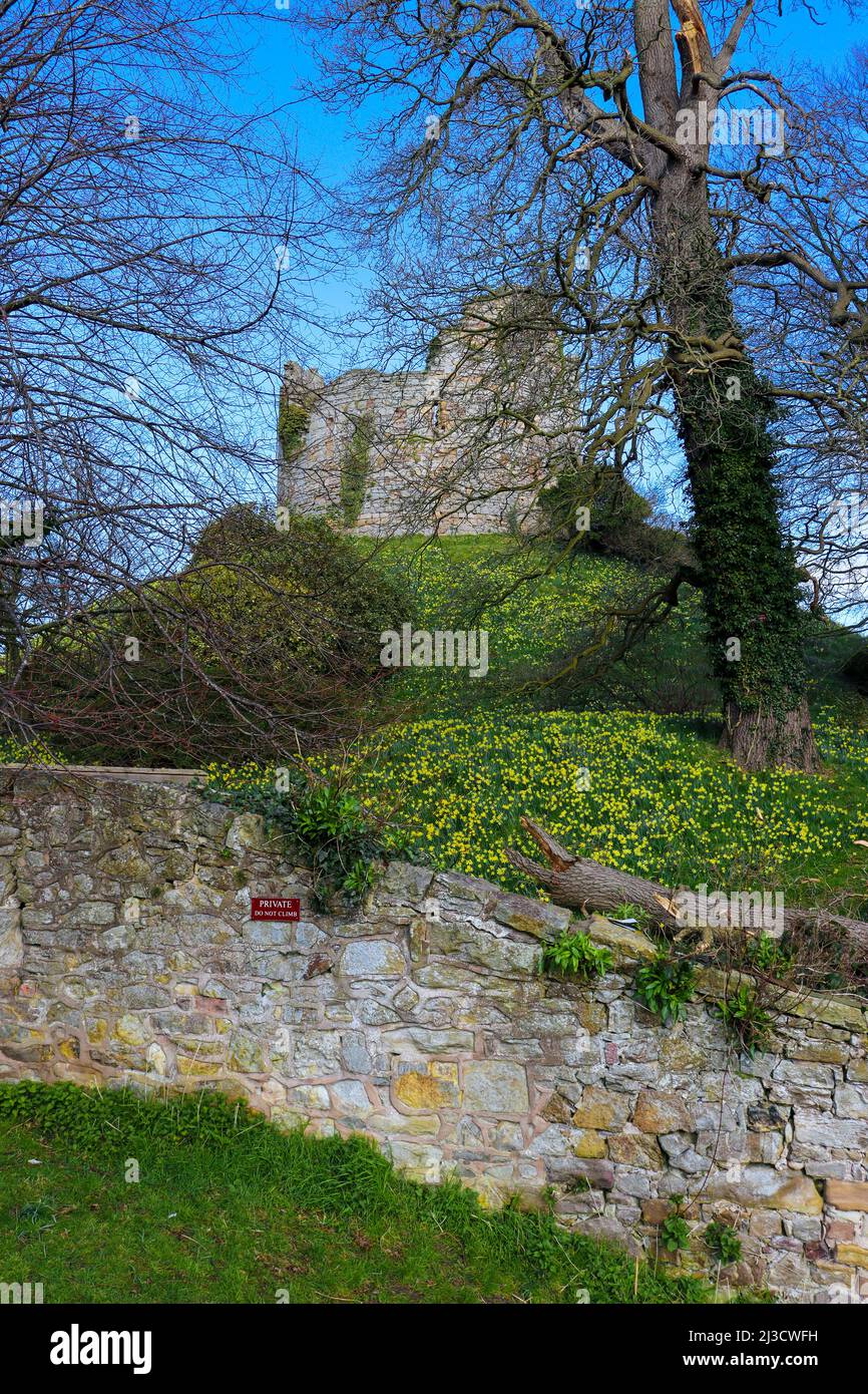 Hawarden old castle hi-res stock photography and images - Alamy