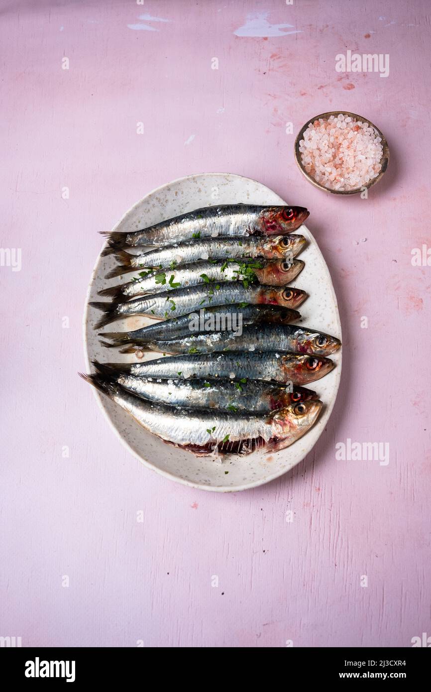 Top view of bunch of fresh sardines placed on oval plate on pink table ...