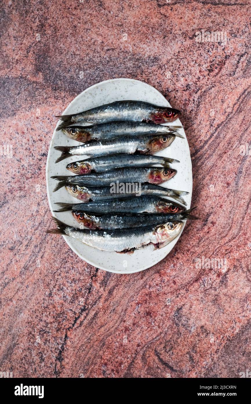 Top view of bunch of fresh sardines placed on oval plate on marble ...