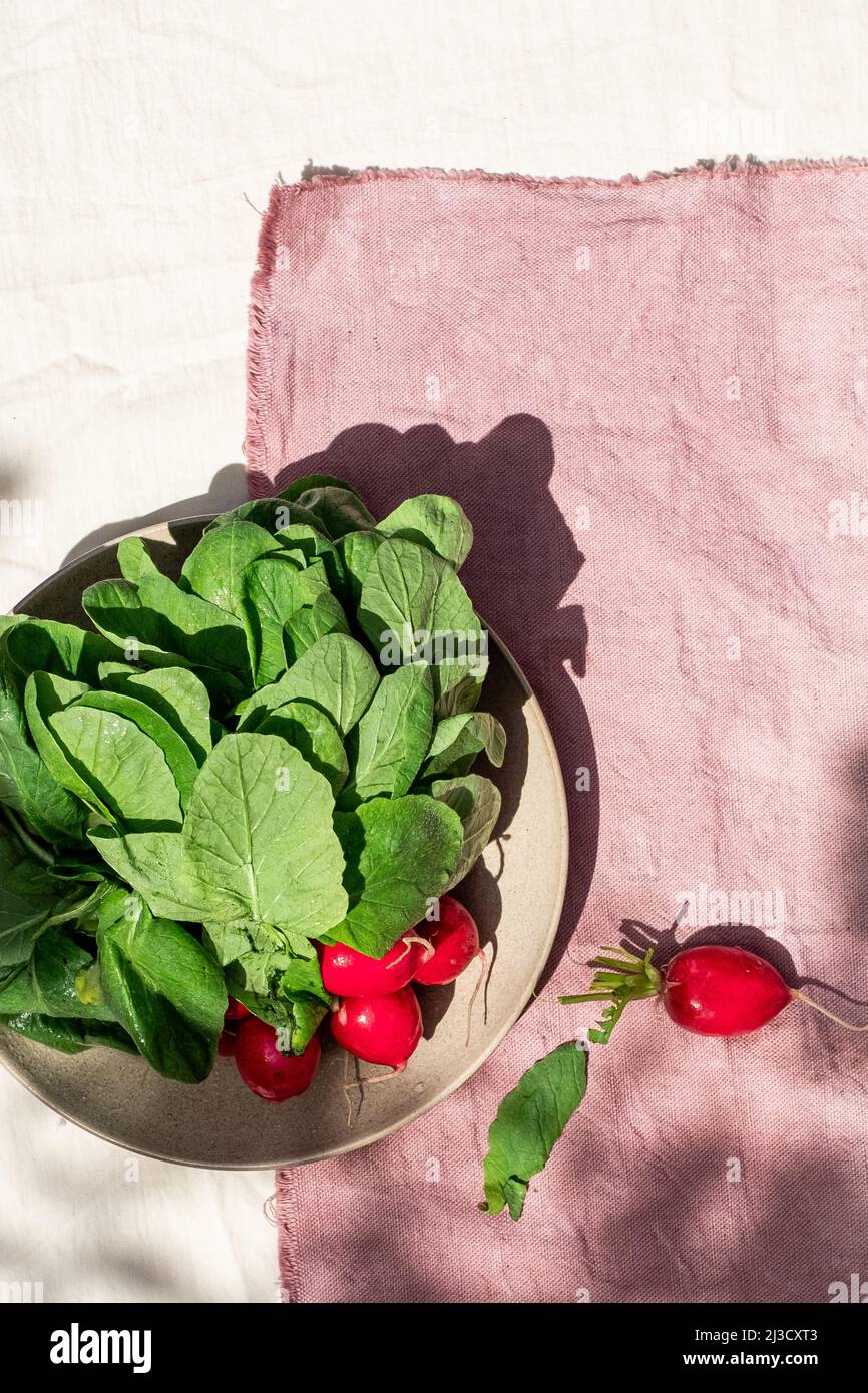 Top view of bunch of spinach leaves and ripe radishes served on plate ...