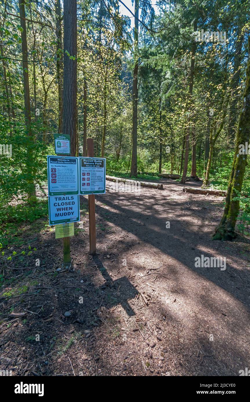 On the trail at Powell Butte Nature Park in Portland, Oregon Stock ...