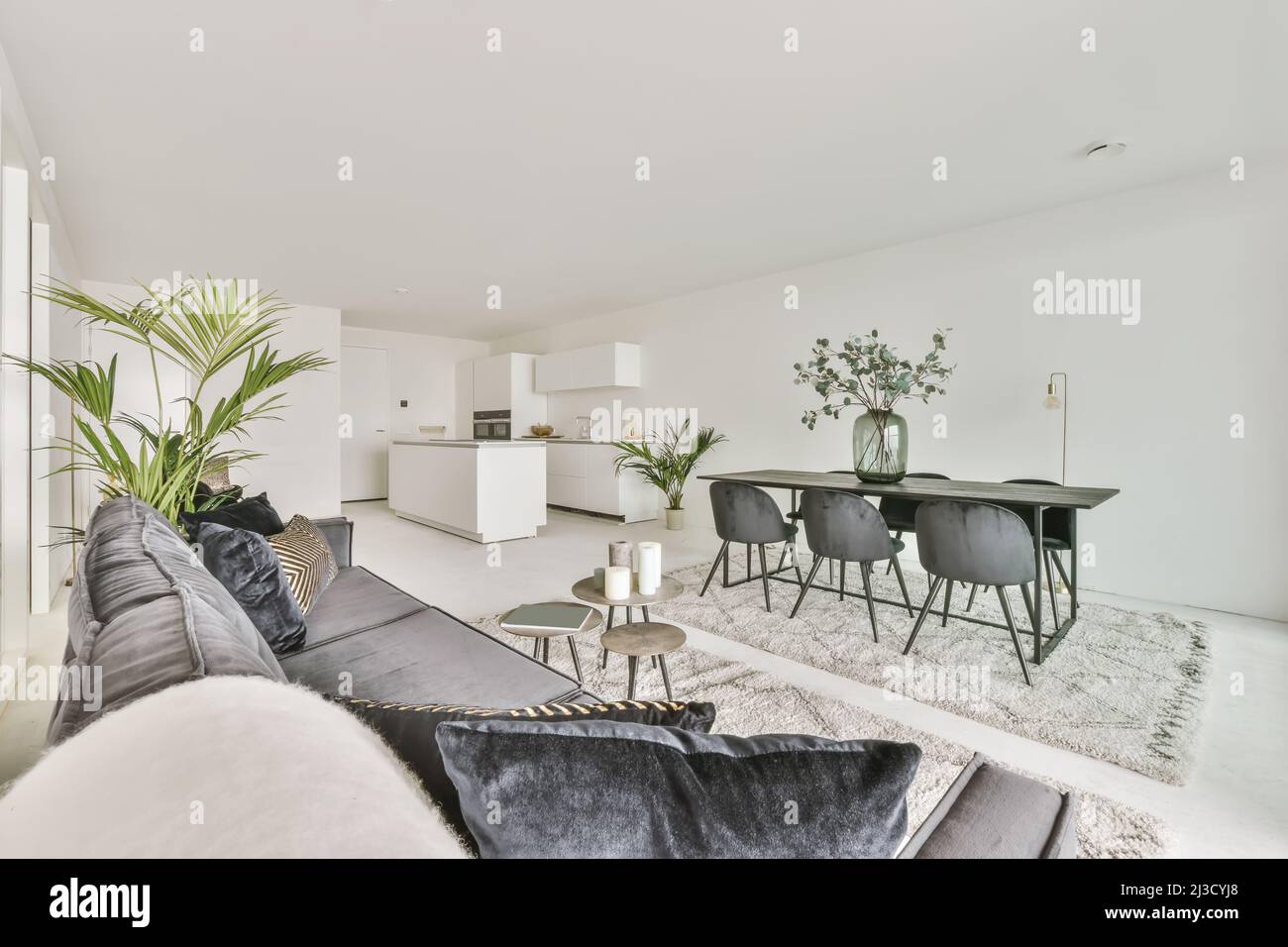 Interior of spacious open plan flat with modern kitchen and lounge room ...