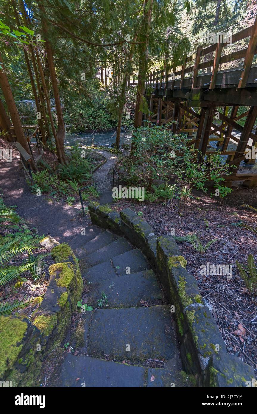 On the trail at Powell Butte Nature Park in Portland, Oregon Stock ...