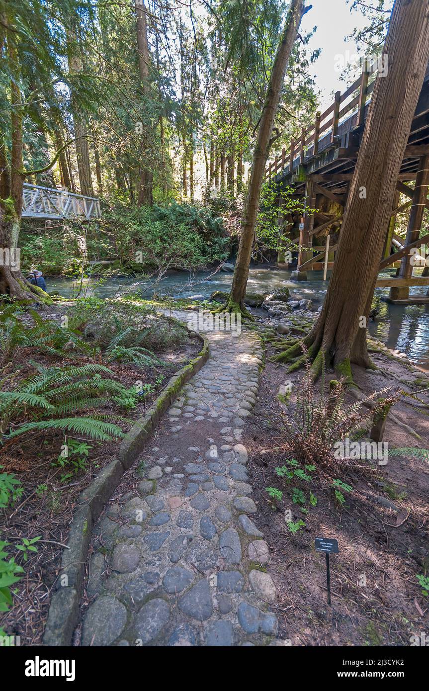 On the trail at Powell Butte Nature Park in Portland, Oregon Stock ...