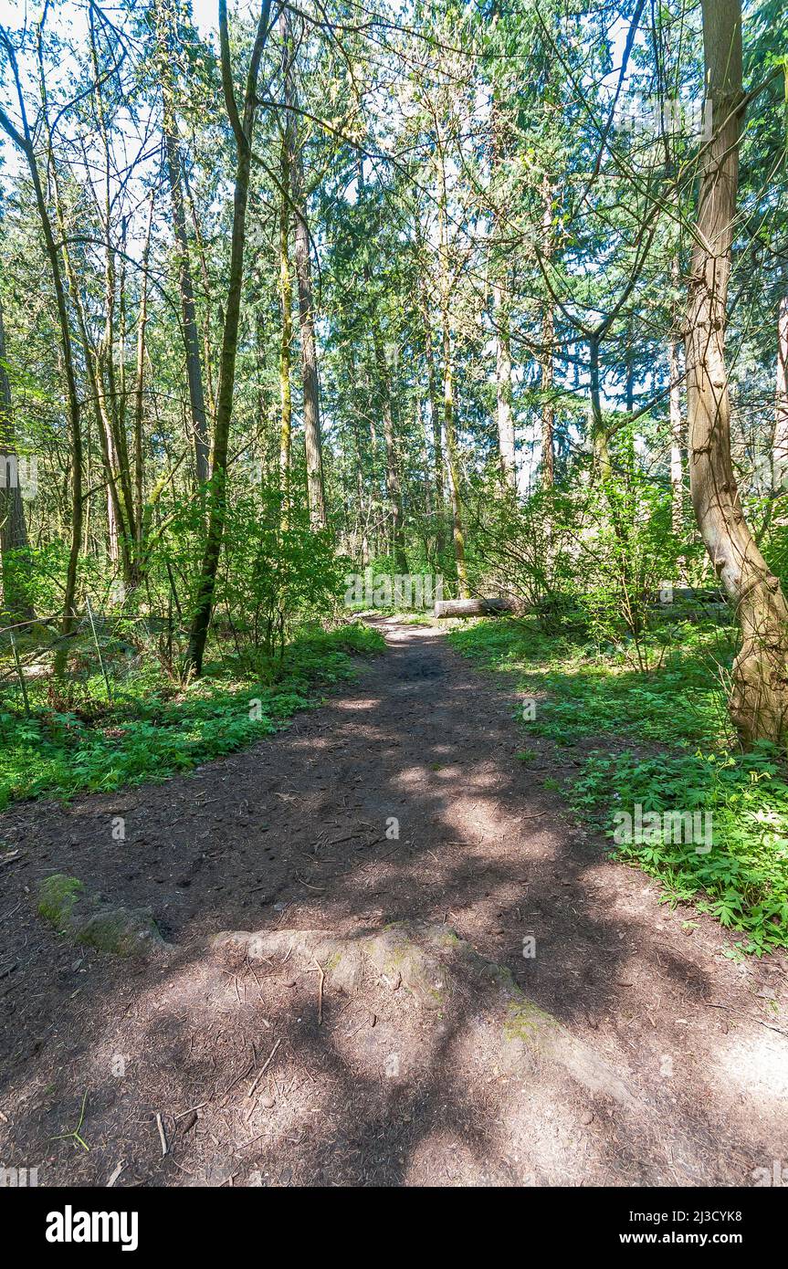 On the trail at Powell Butte Nature Park in Portland, Oregon Stock ...