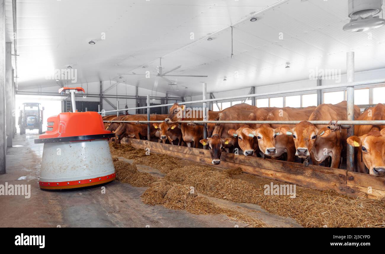 Milk robot hi-res stock photography and images - Alamy