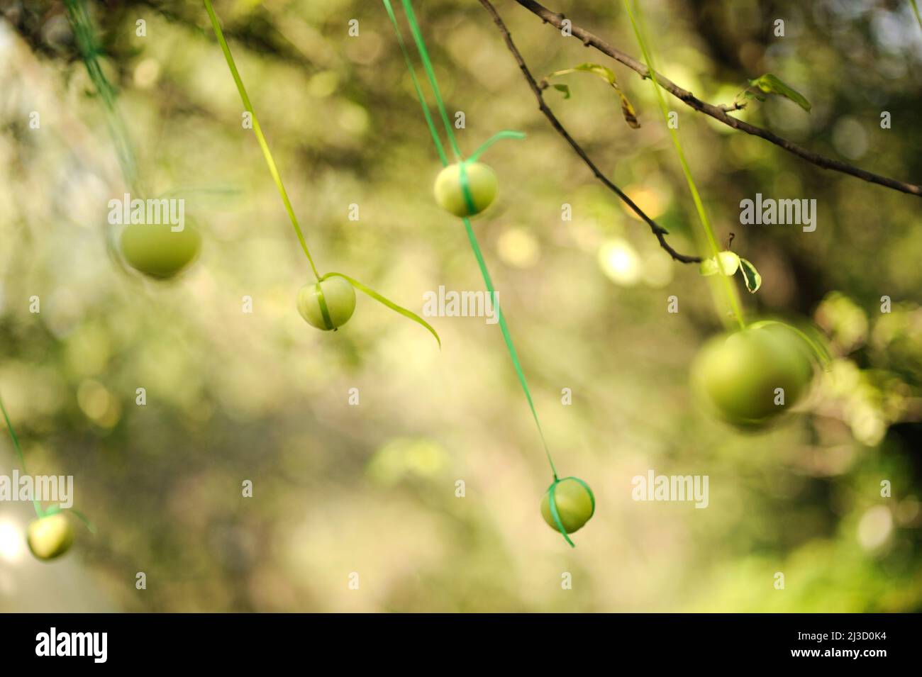 Hanging ribbons on rope hi-res stock photography and images - Alamy