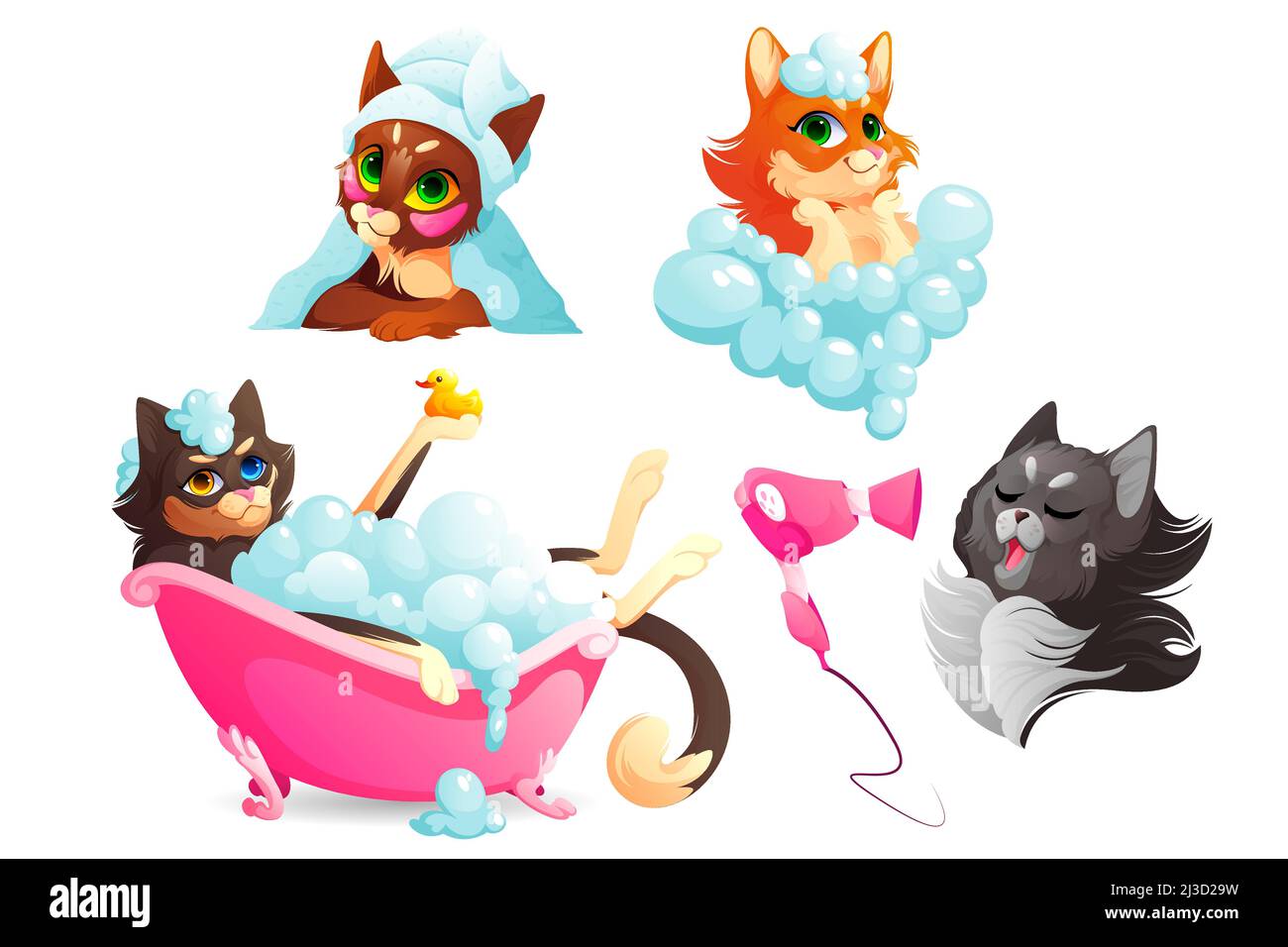 Cats or dogs spa and grooming service, funny kittens and puppies ...