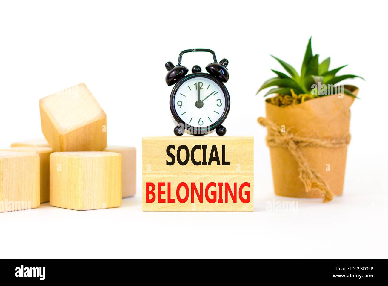 Social belonging symbol. Wooden blocks with concept words Social ...