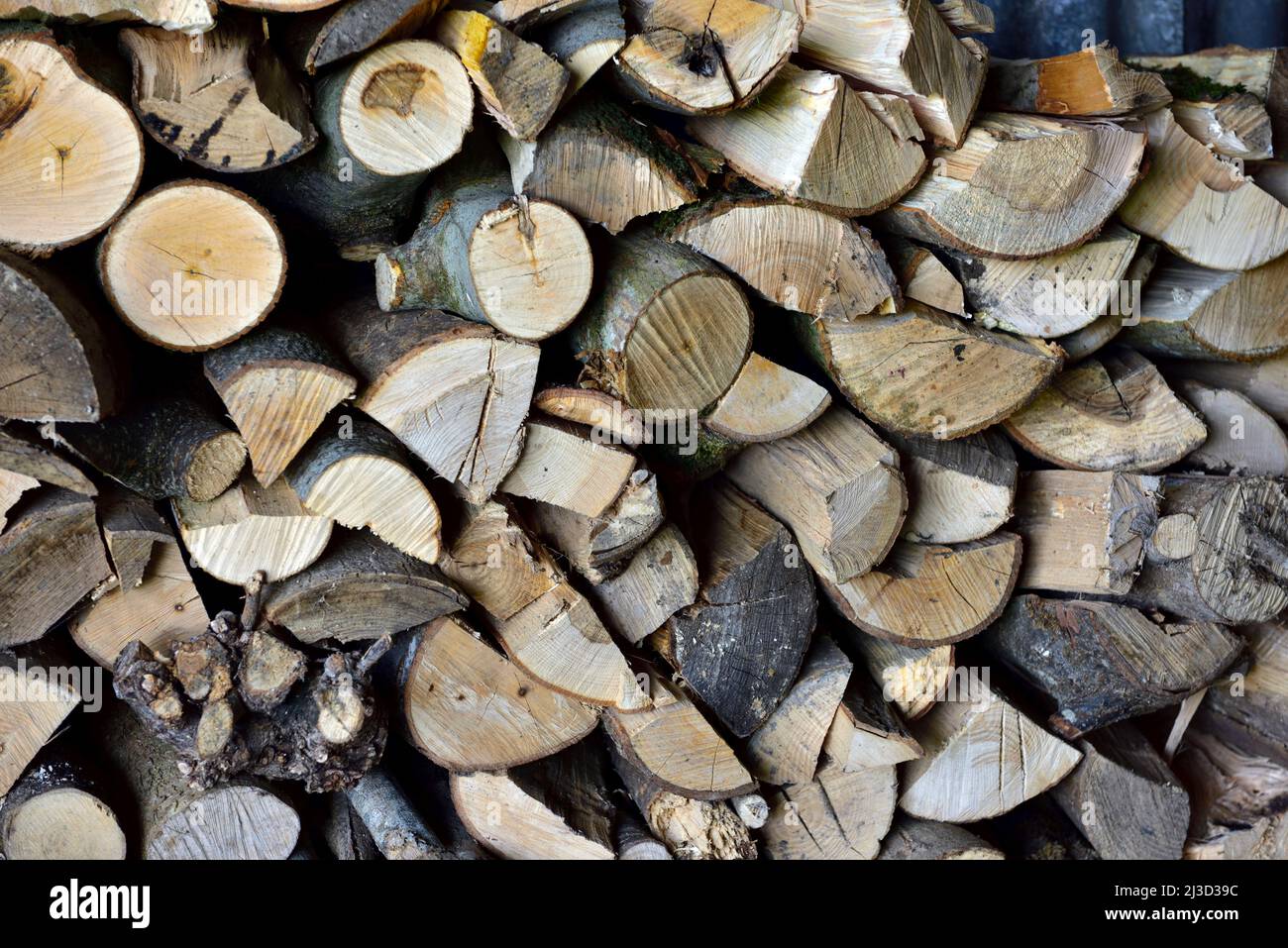 End view of stack of logs, some split, for firewood for home use Stock ...