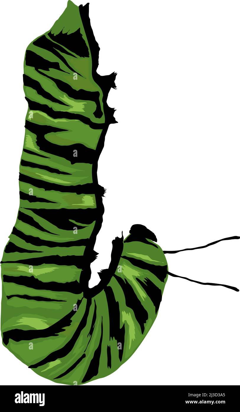 caterpillar vector icon Stock Vector Image & Art - Alamy