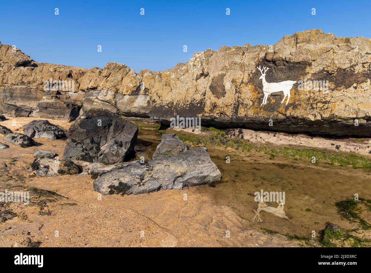 Stag rock and it’s reflection in a rock pool on Bamburgh Beach ...