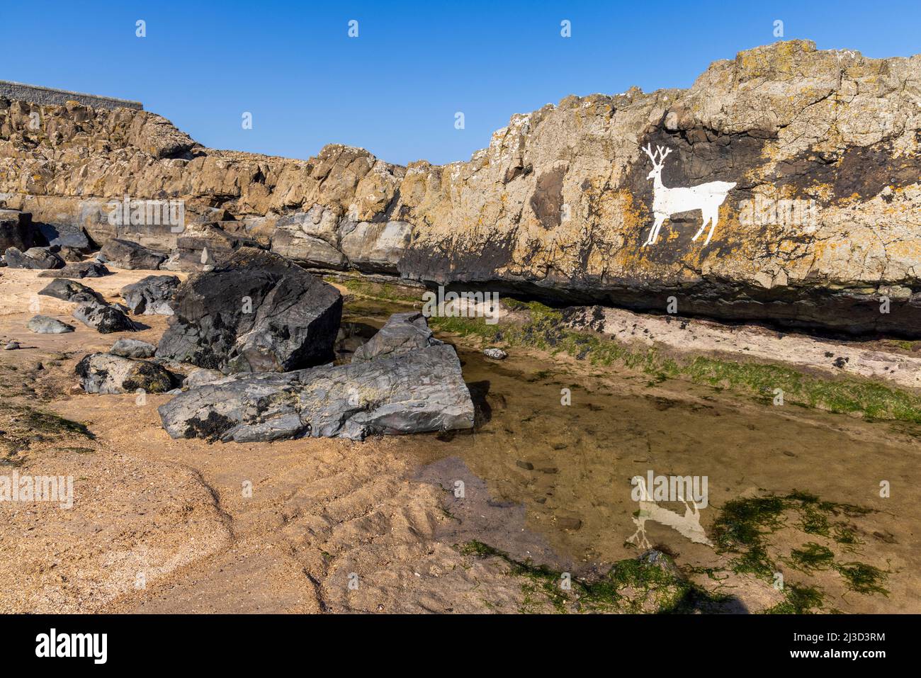 Stag rock and it’s reflection in a rock pool on Bamburgh Beach ...