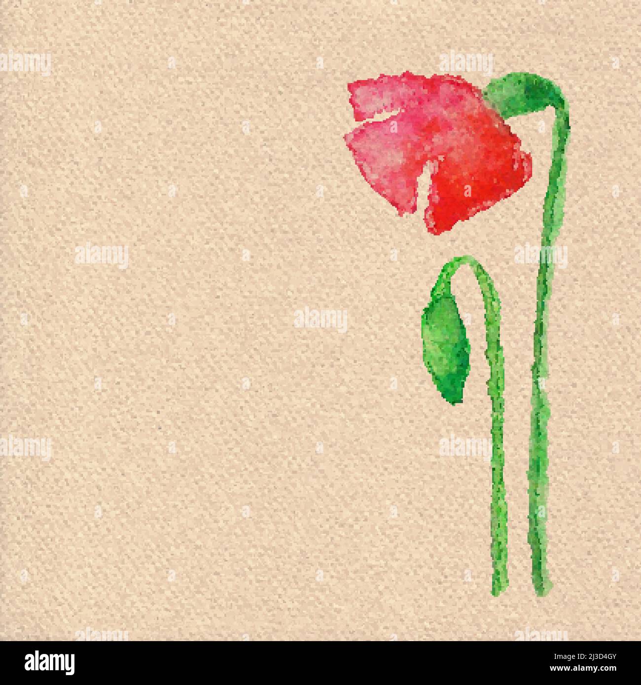 Vector watercolor poppy flower hand drawing on realistic cardboard ...