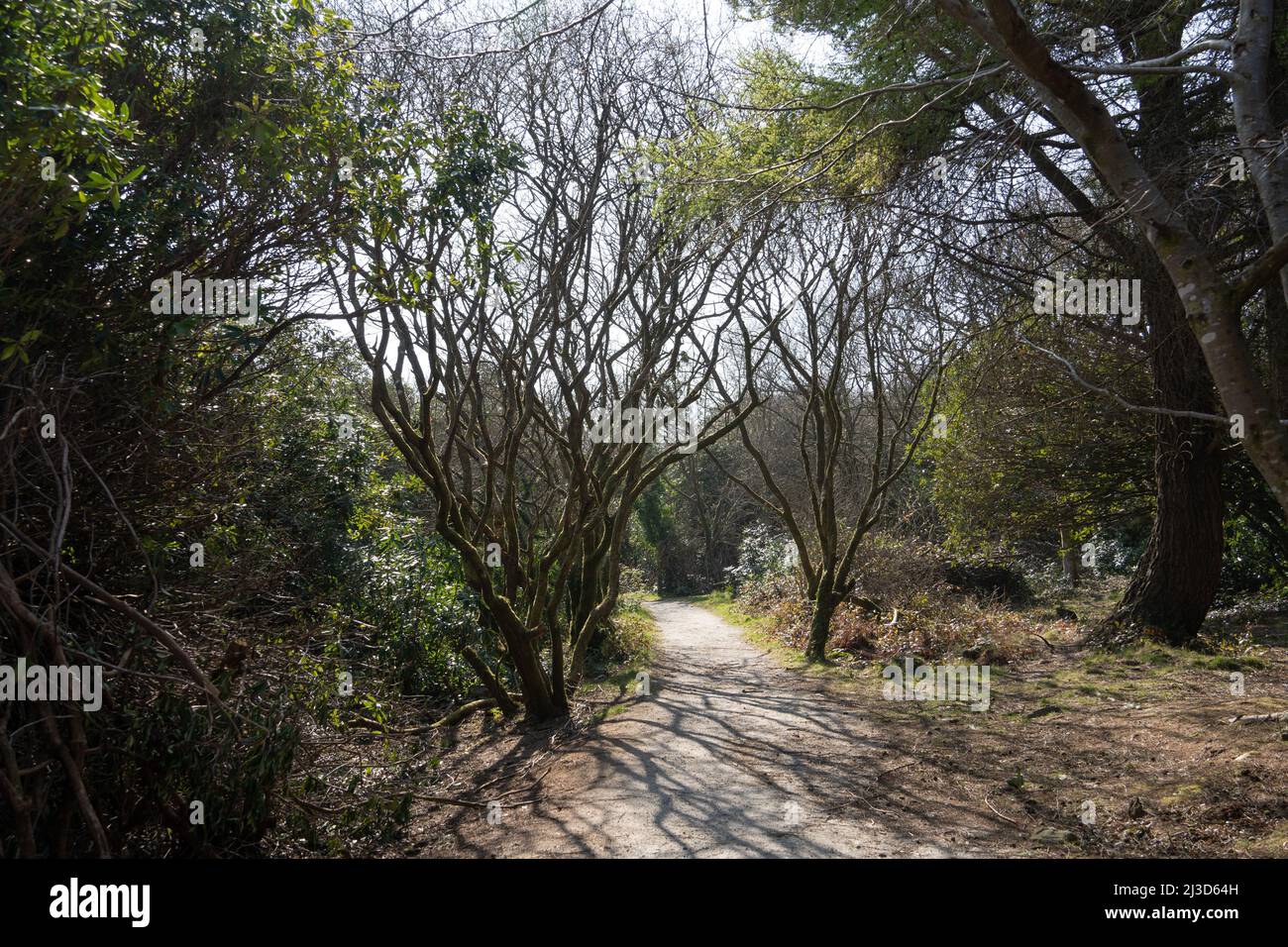 View of reclaimed land on the country park trail at the Wheal Martyn ...