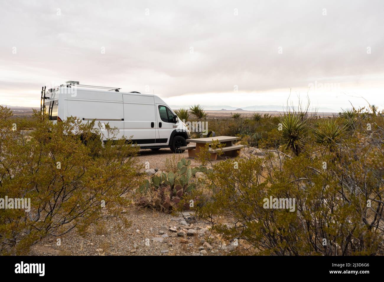 A lone beautiful tree grows out of a crack in the boulders in Jumbo ...