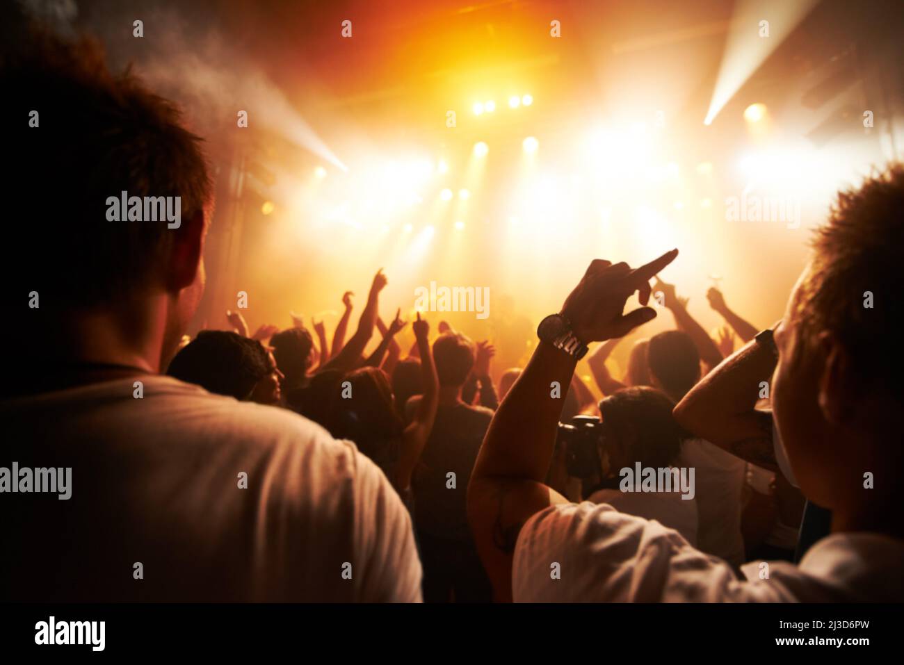 Rock fans unite. Rear view of a crowd cheering at a concert - This ...