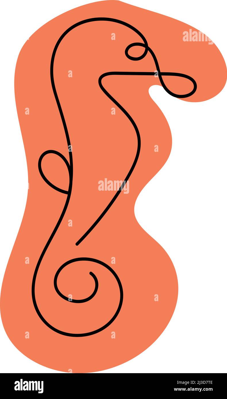 Seahorse drawing hi-res stock photography and images - Alamy