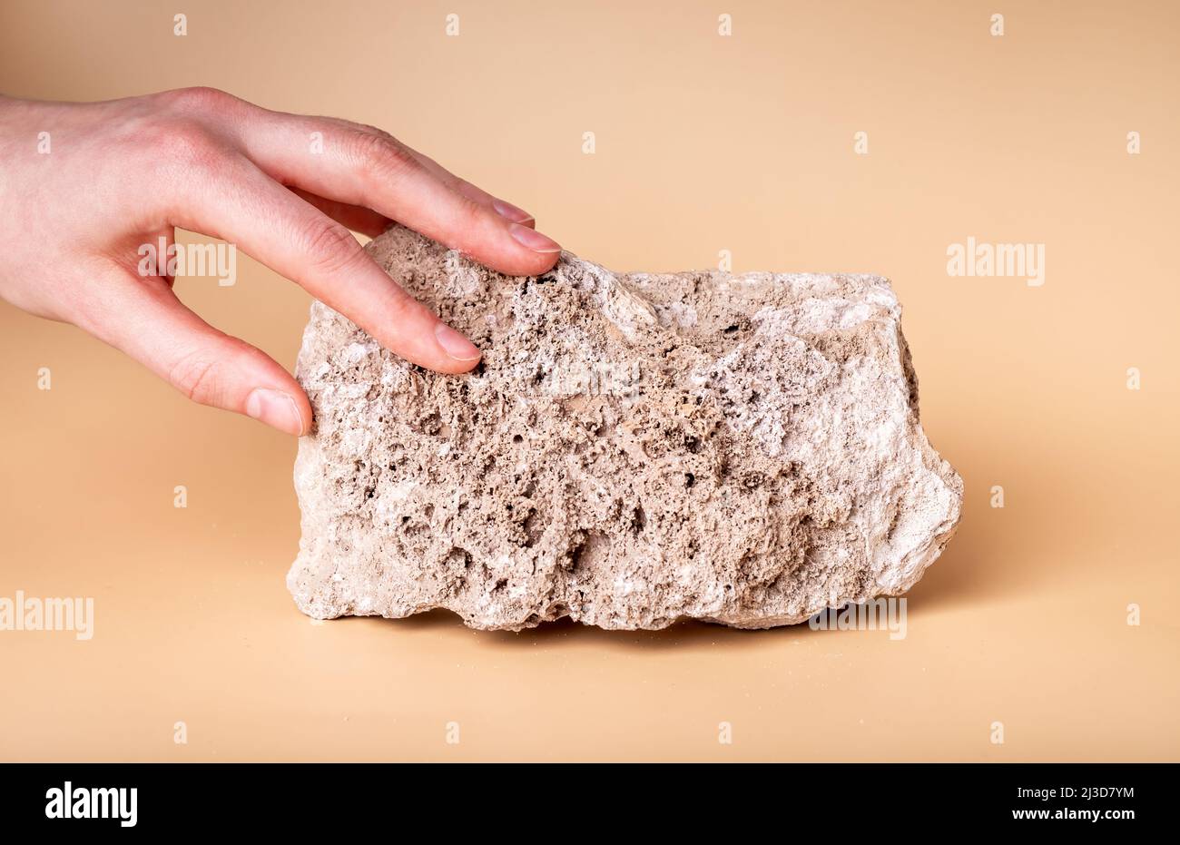 Hand contacting nature hi-res stock photography and images - Alamy