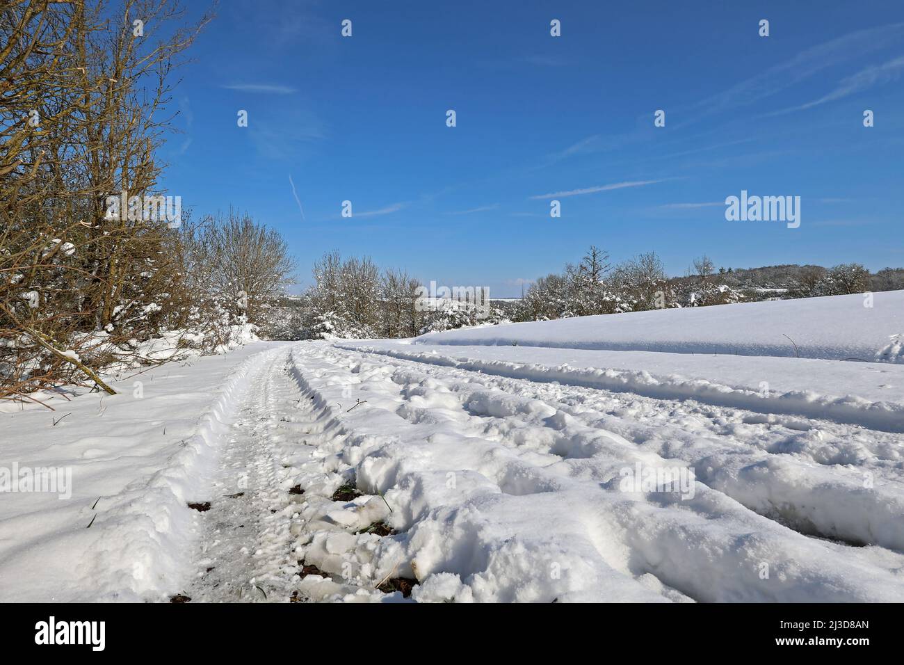 Winter landscape with freshly fallen snow in the morning Stock Photo ...