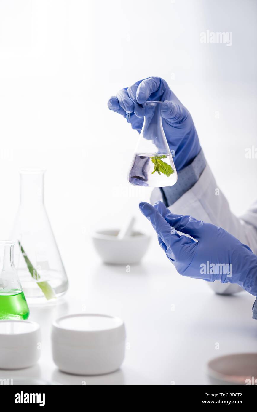 cropped view of laboratory assistant in latex gloves holding flask with ...