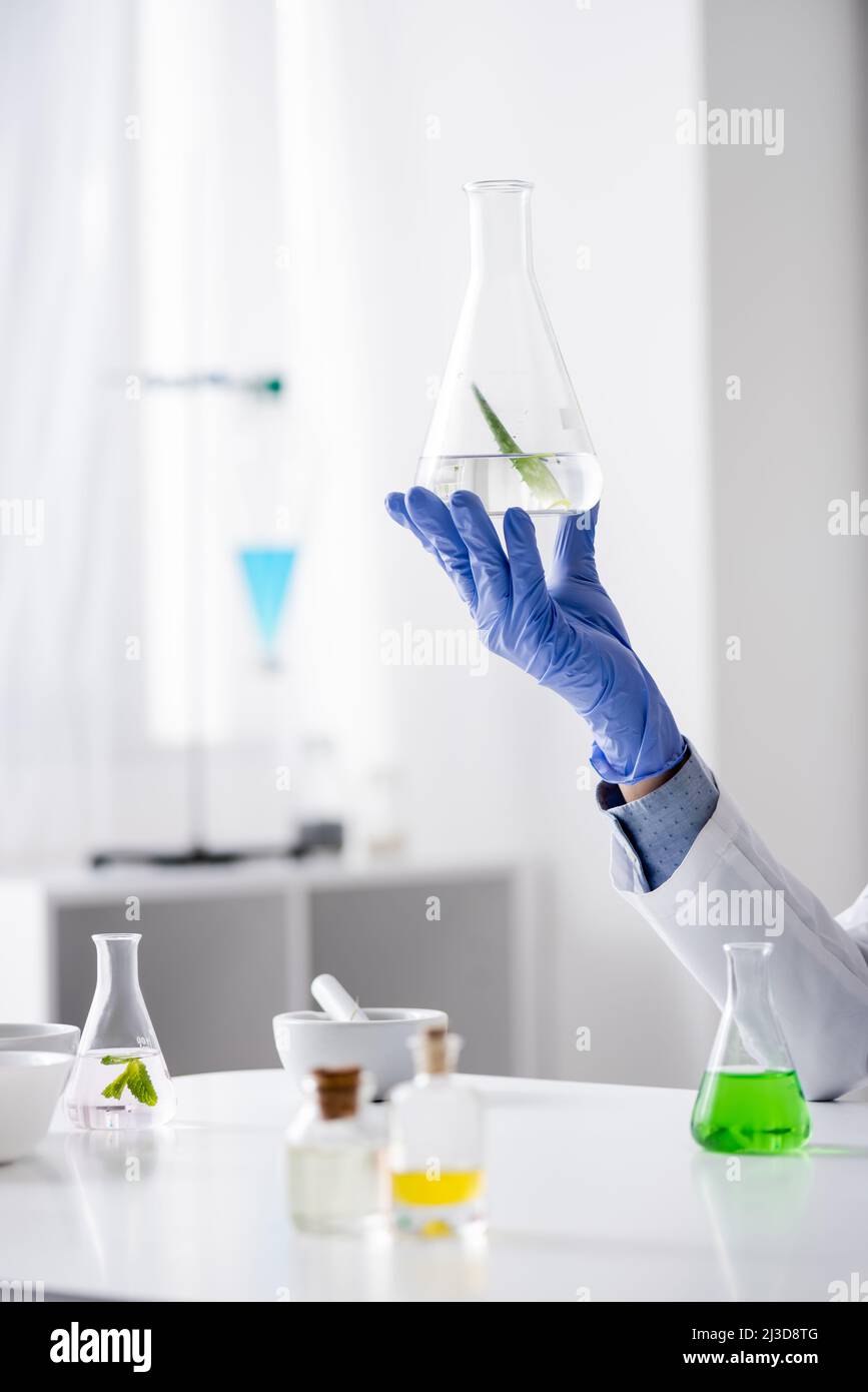 cropped view of laboratory assistant in latex glove holding flask with ...