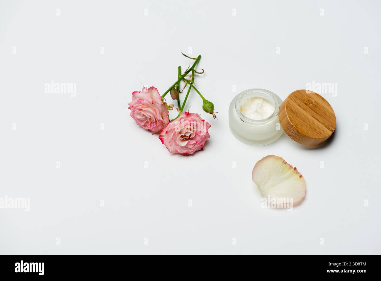 Pink roses on cream white hi-res stock photography and images - Alamy