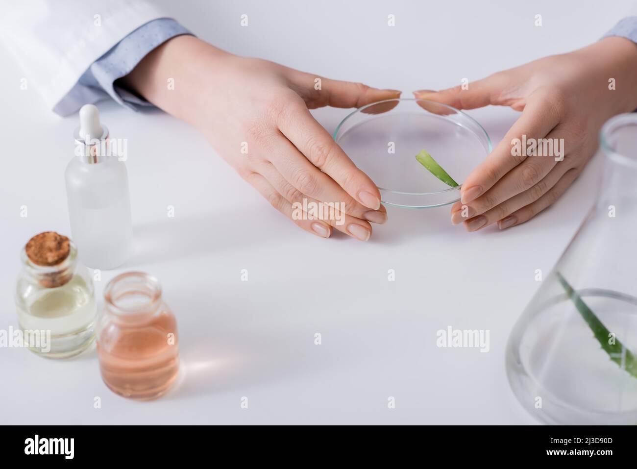 Test plate hi-res stock photography and images - Alamy