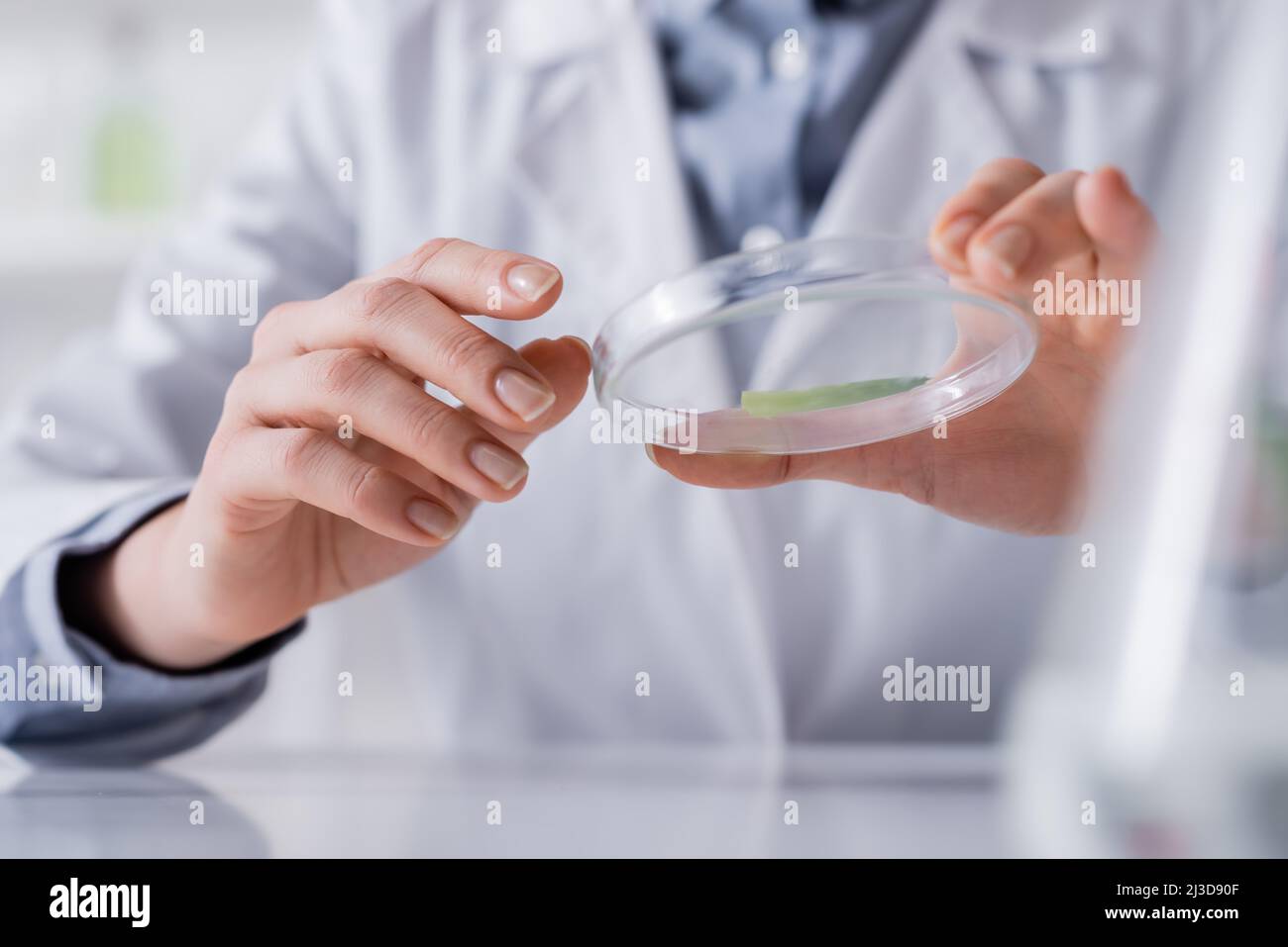 Test plate hi-res stock photography and images - Alamy