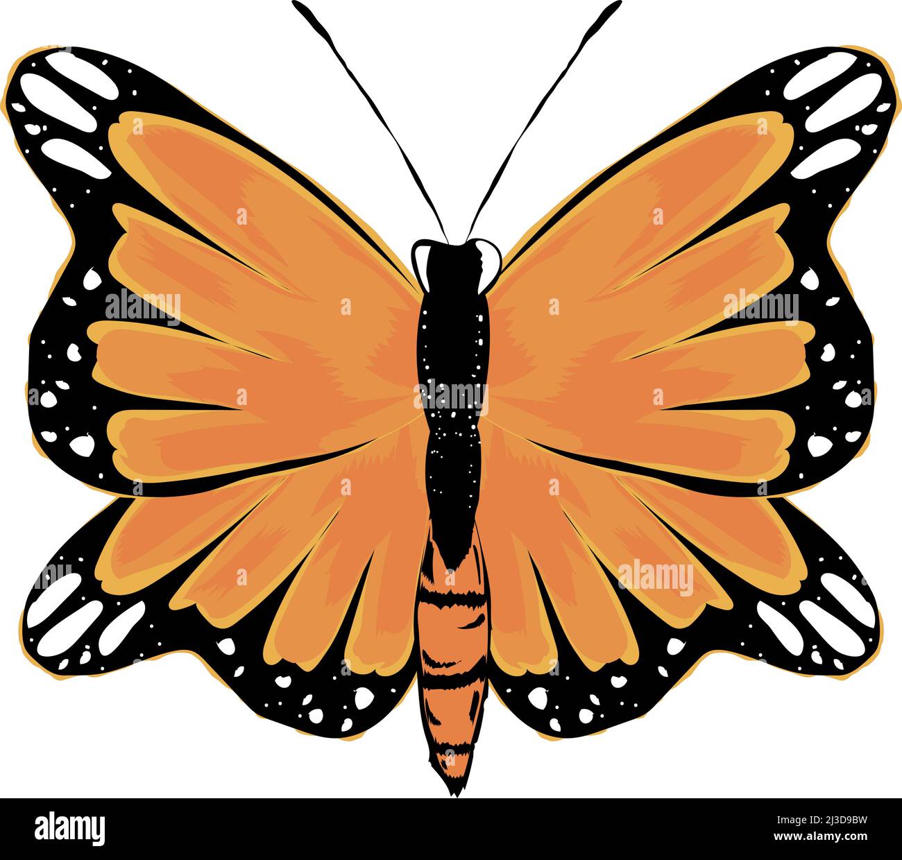 monarch butterfly icon Stock Vector Image & Art - Alamy