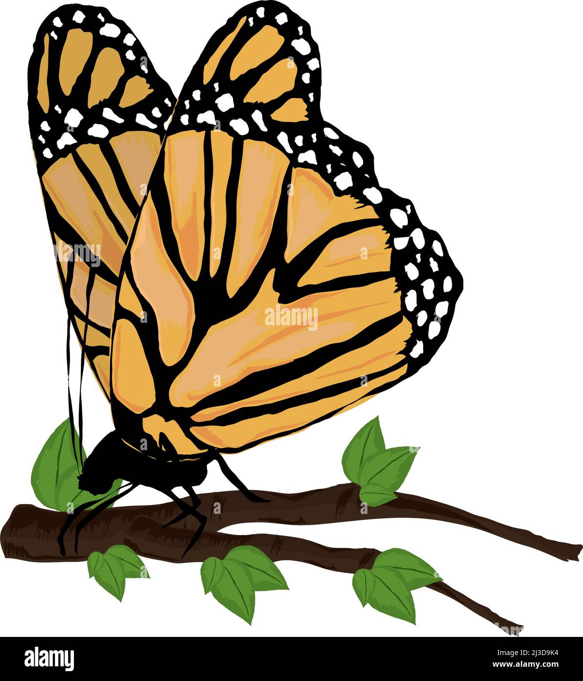 butterfly on branch tree Stock Vector Image & Art - Alamy