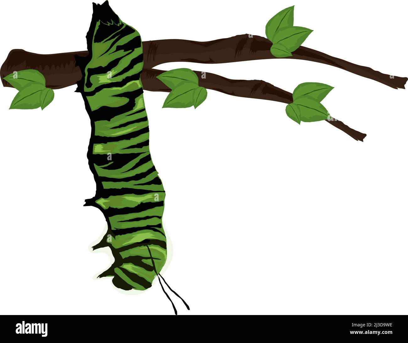 Cartoon caterpillar branch hi-res stock photography and images - Alamy