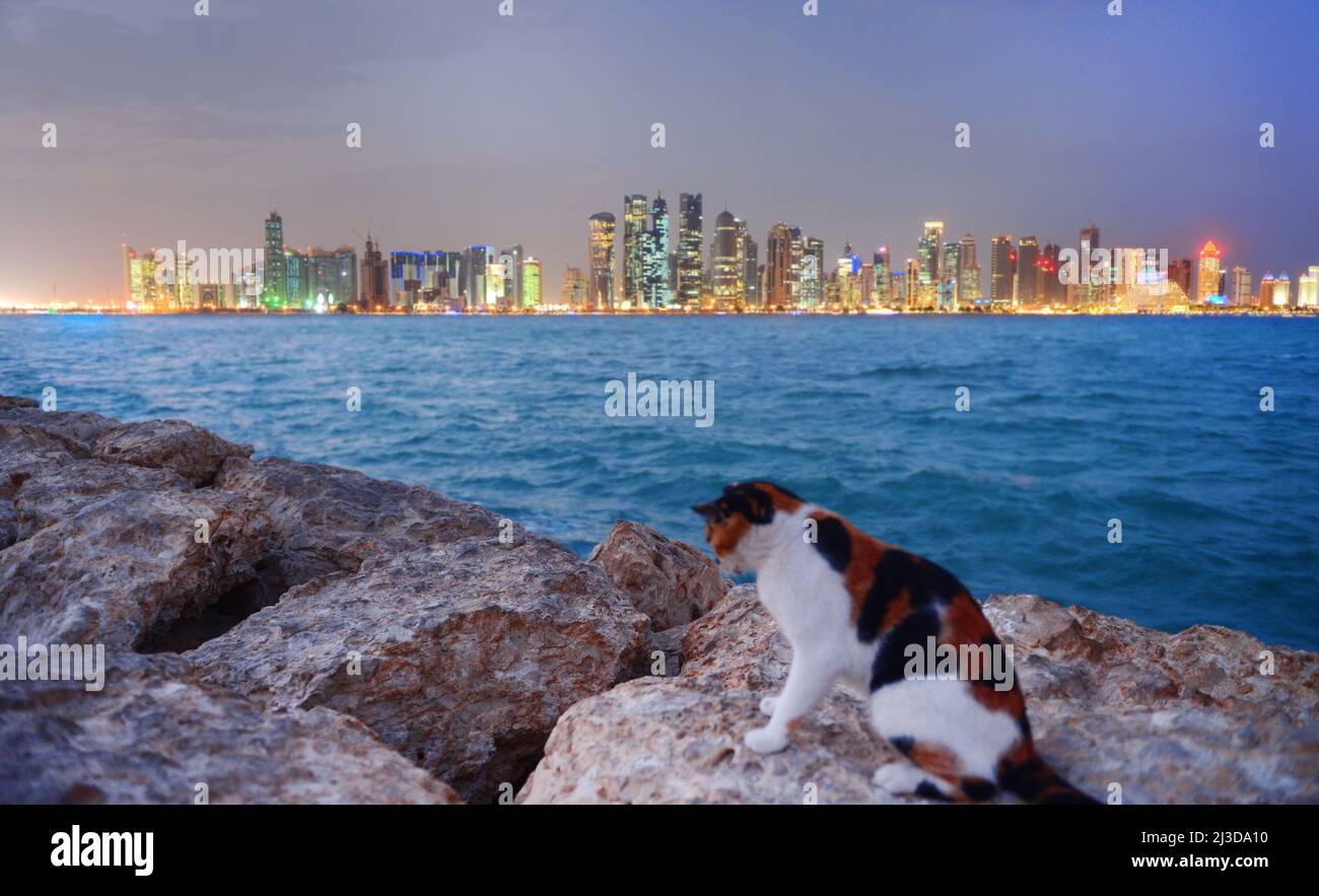 Doha Cornish panoramic sky line view -Doha Qatar Stock Photo - Alamy