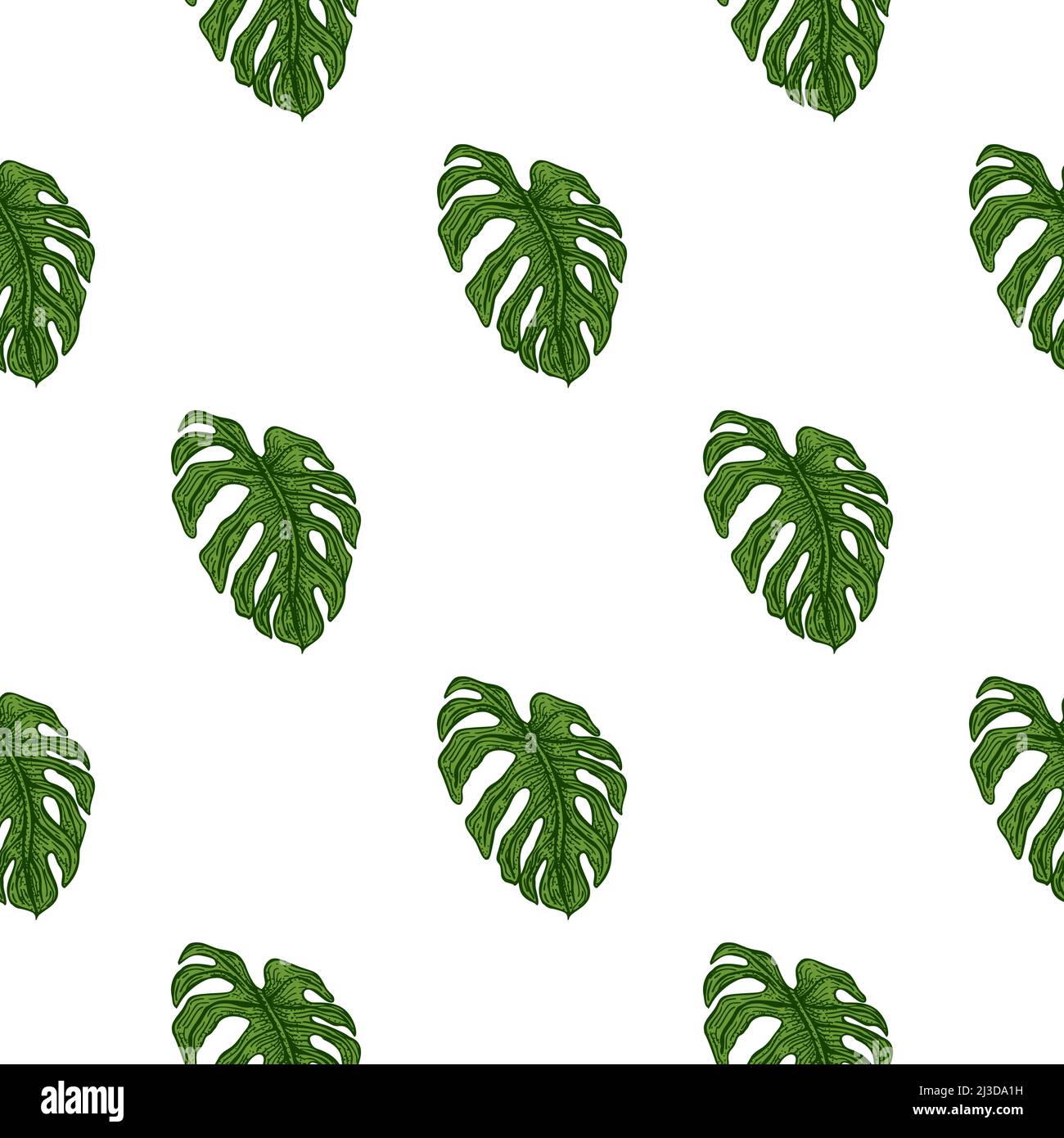 Monstera leaf seamless pattern.Vintage tropical branch in engraving ...