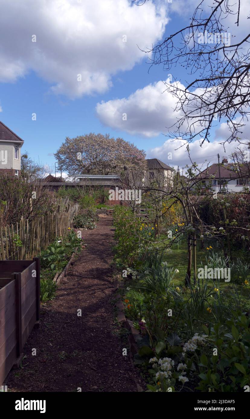 Insole Court, Llandaff, Cardiff Victorian House and gardens - open to ...