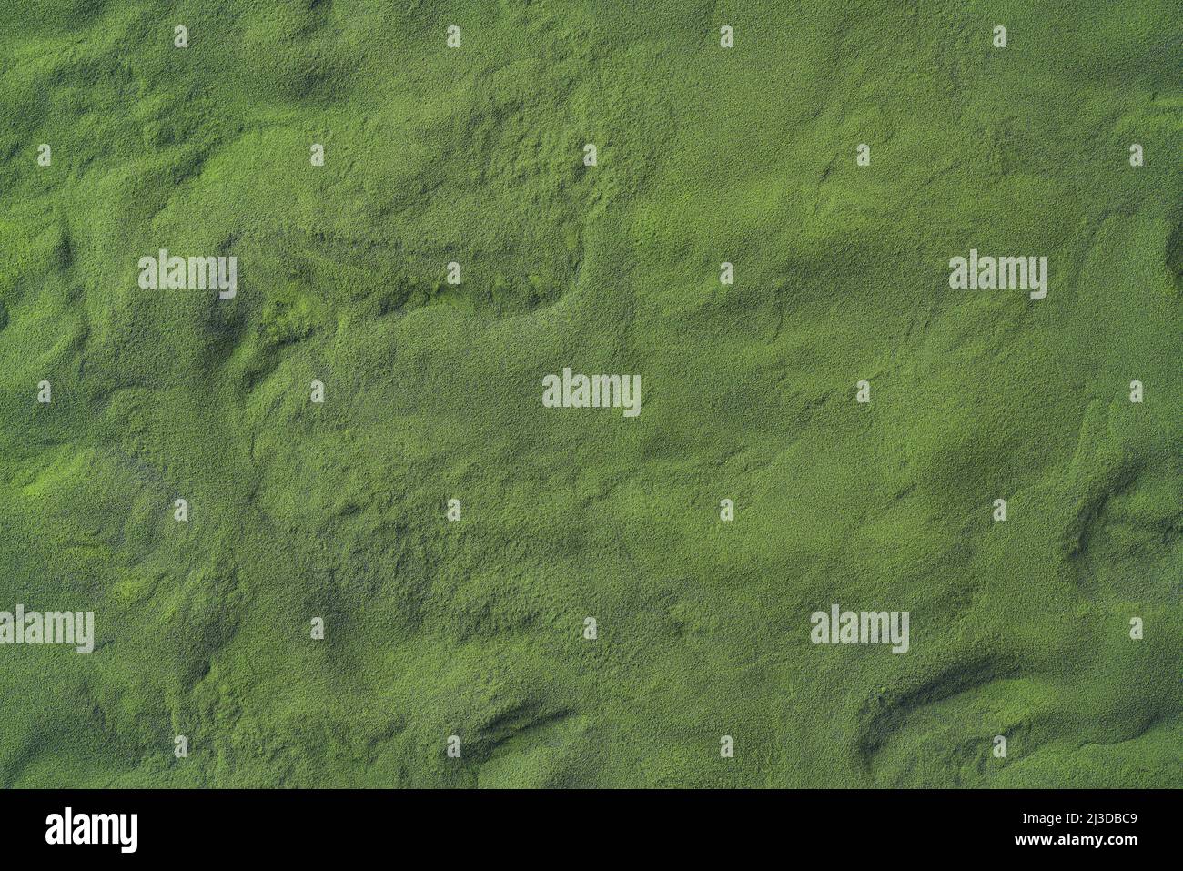 Dark green background made of chlorella algae powder, with copy space ...