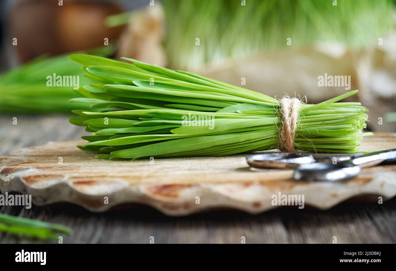 Barley bundle hi-res stock photography and images - Alamy